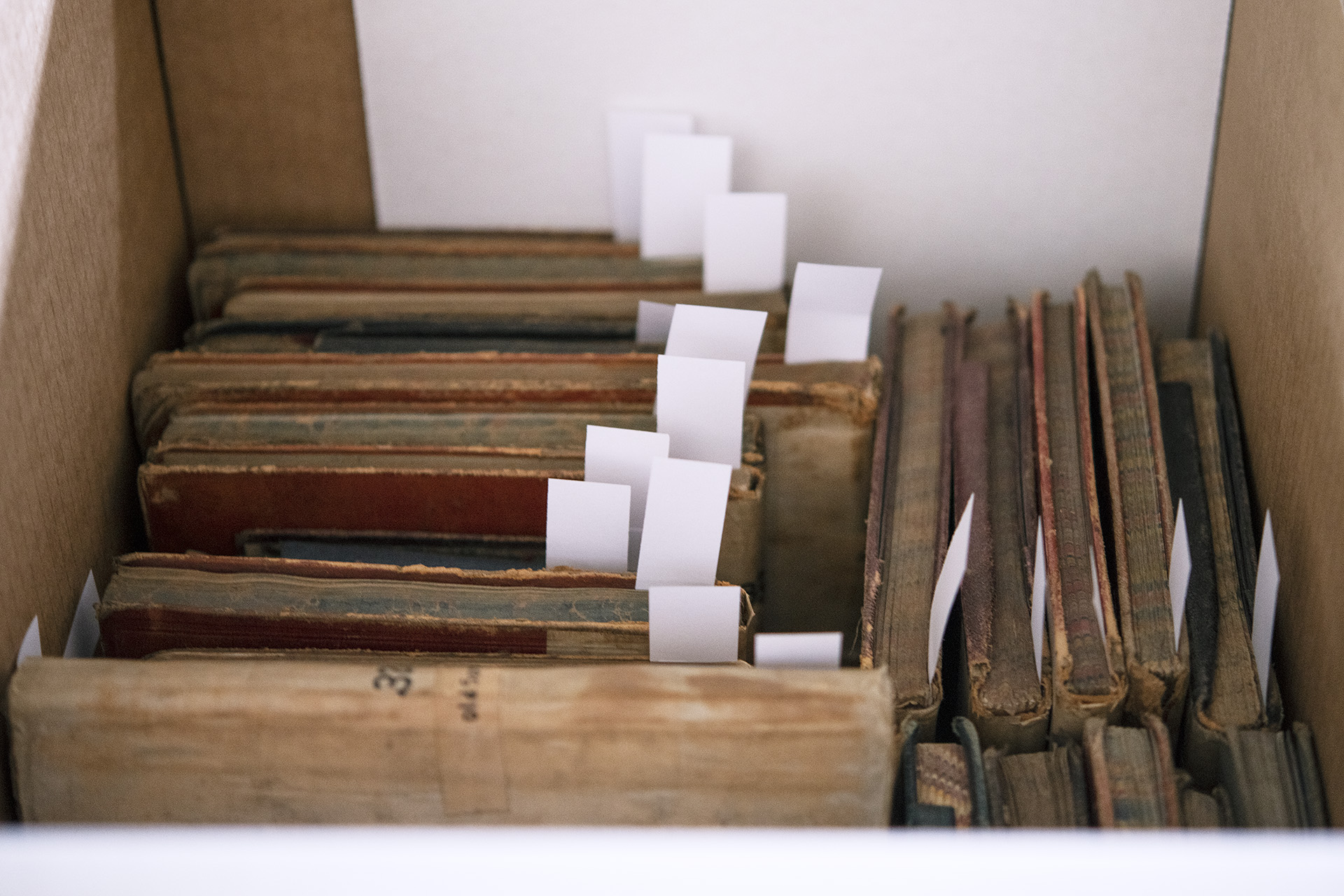 Developing a Digitisation Strategy - NZMS