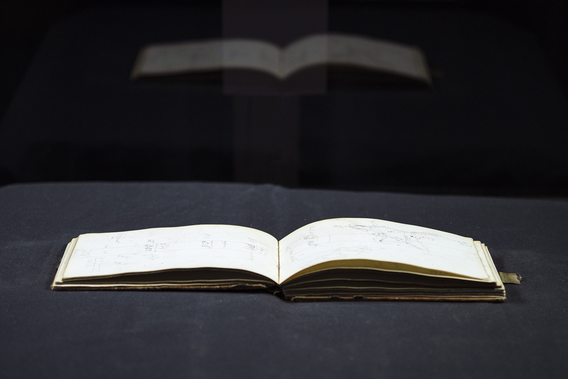 Developing a Digitisation Strategy - NZMS