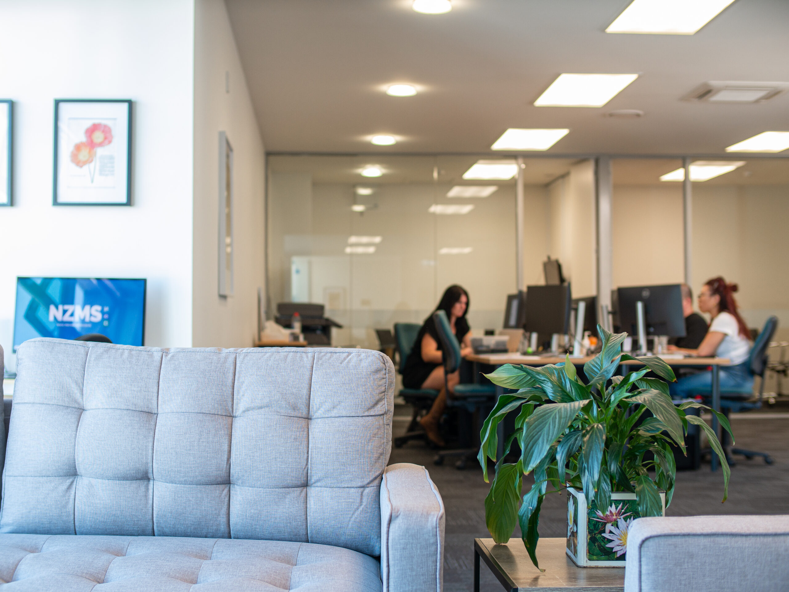 Blog: Our New Location in Ōtautahi Christchurch! - NZMS